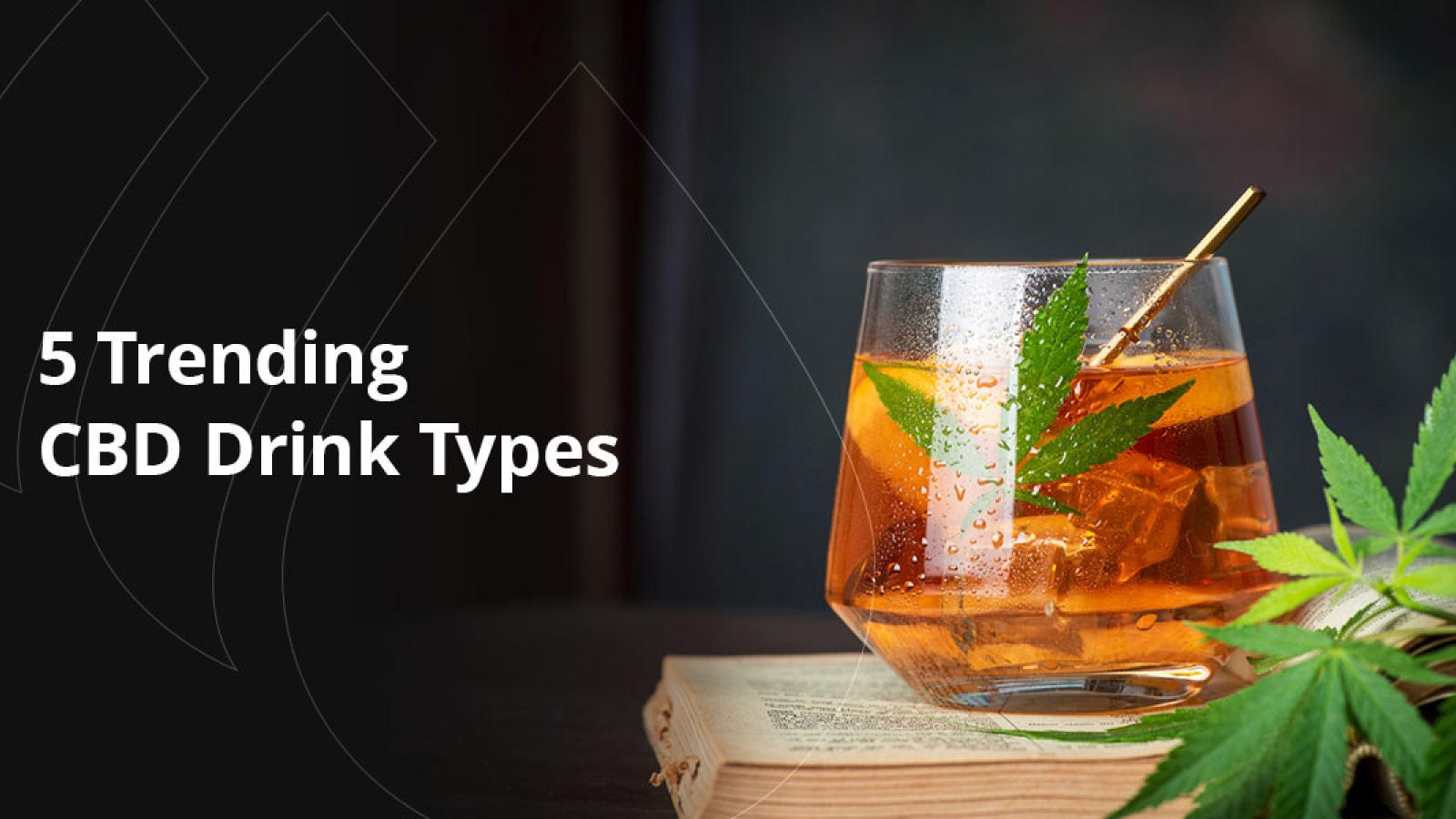 5 Trending CBD Drink Types | BevSource