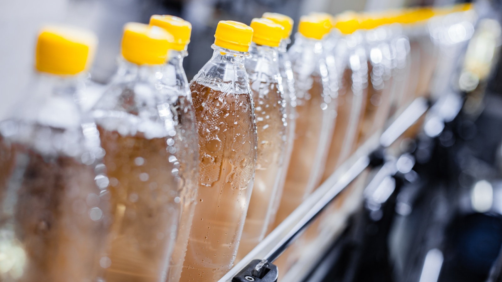 5 Reasons To Invest In a Pilot Run Before Beverage Launch